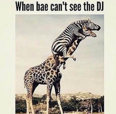 20 of Our Favorite EDM Related Memes From 2015